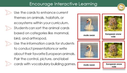 45 Animals of Europe: 3 Part Cards & Facts - Montessori Nature