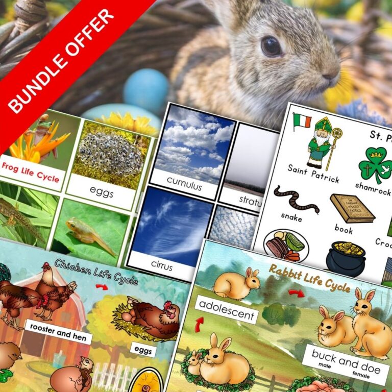 Rabbit Life Cycle And Parts Of A Rabbit Activities - Montessori Nature