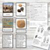 Ancient Mesopotamia: Fundamental Needs - Montessori Nature
