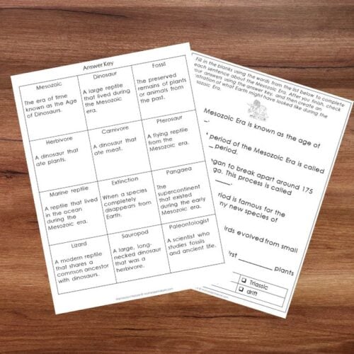 Mesozoic Era Timeline Second Great Lesson 3-Part Cards Vocabulary ...