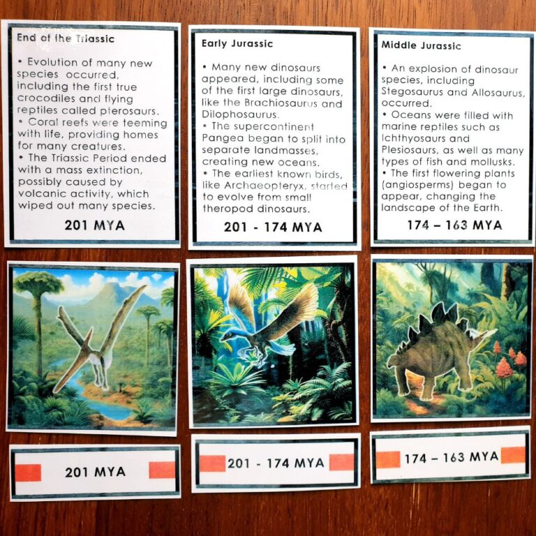 Parts of the Volcano and Stages of a Volcanic Eruption Activities ...