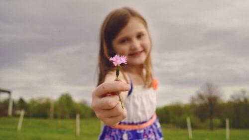 Montessori Flower Arranging Lessons for Children. Activities, Materials ...