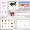 Learning to Read and Write: Phonics Bundle - Montessori Nature