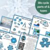 Snowflake Life Cycle Types of Snowflakes Snow Life Cycle Bentley Winter ...
