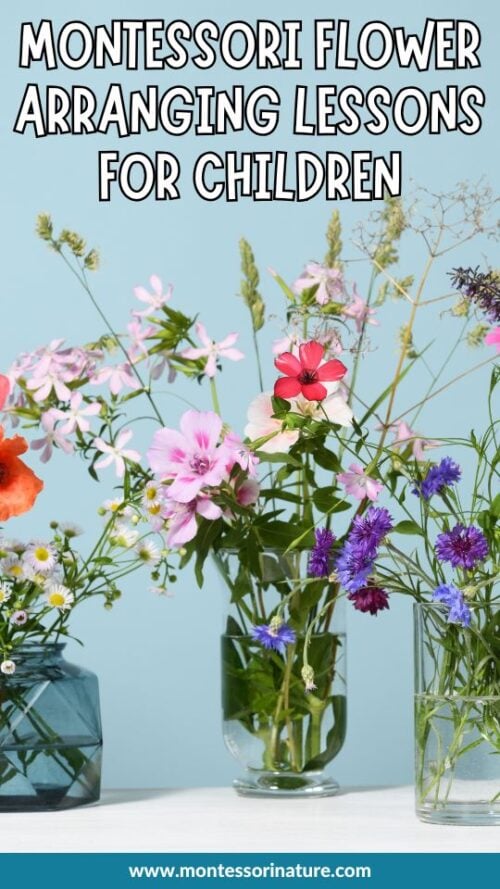 Montessori Flower Arranging Lessons for Children. Activities, Materials ...