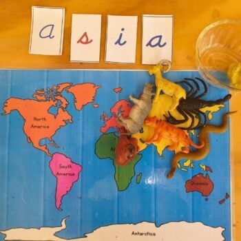 Preschool and Kindergarten All About the Earth Pack - Montessori Nature