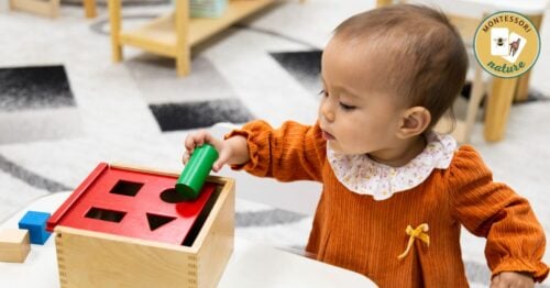 Montessori Nature - Educational Printables