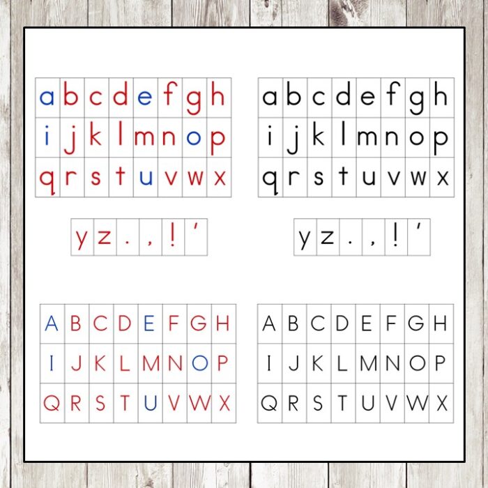 Moveable Alphabet - Montessori Nature
