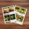 Mushrooms 3-Part Cards Montessori Printable for Children