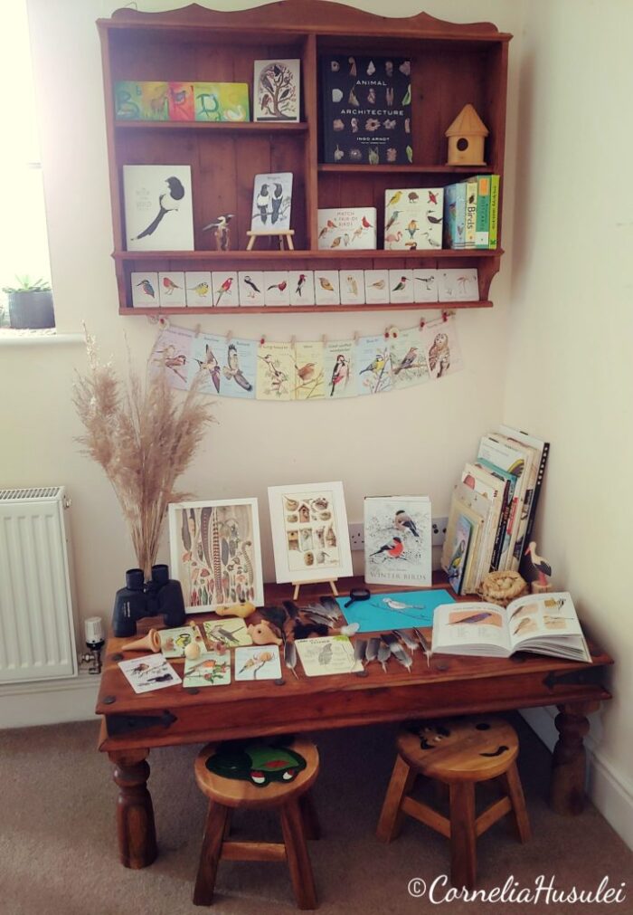Nature Display in Homeschool Setting - Montessori Nature