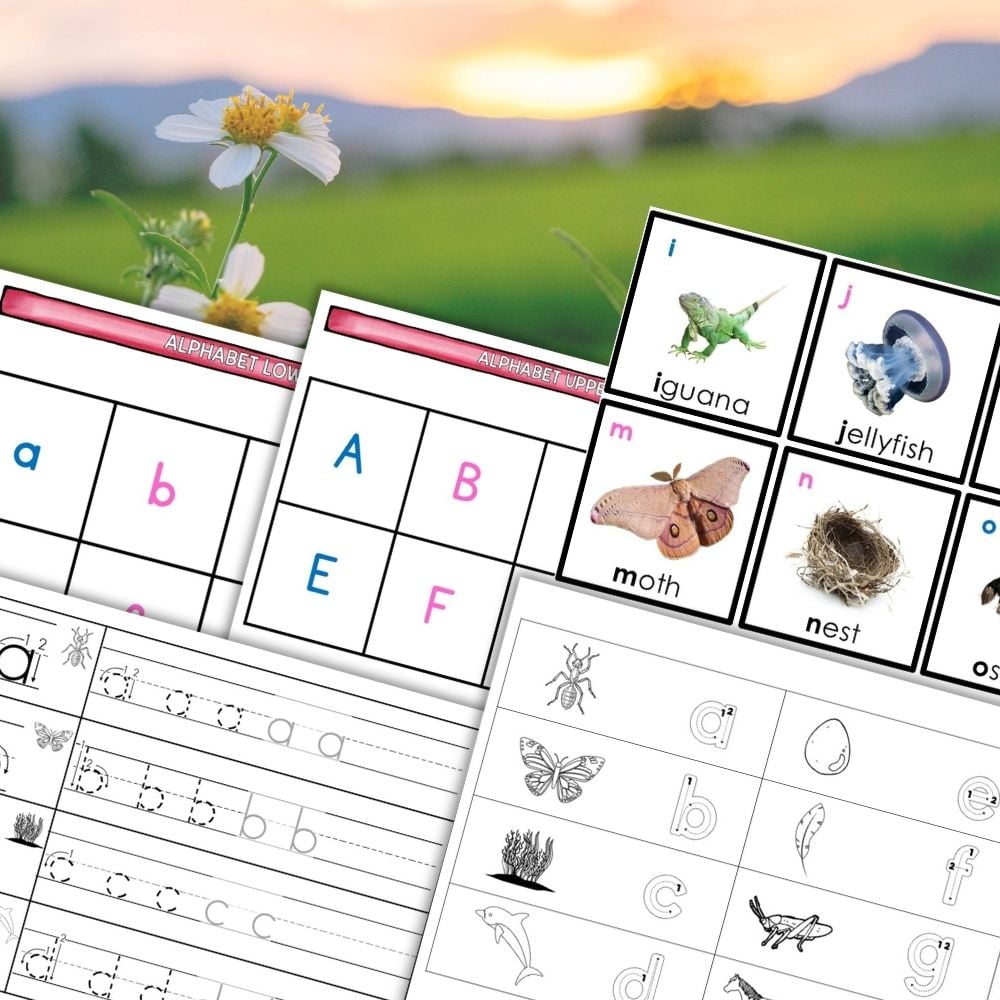 Rhyming Words: Pink Blue Green Series - Montessori Nature