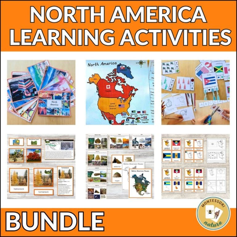 Free Printable - Animals and Their Homes - Montessori Nature