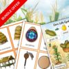 Free Printable - Sunflower Life Cycle with Play-doh Mats and Poem for ...