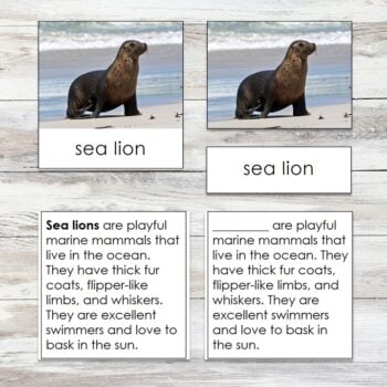 Ocean Animals - Safari Toob 3 Part Cards - Editable