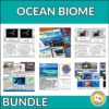 Layers of the Ocean 3-Part Cards Information Student Book - Montessori ...