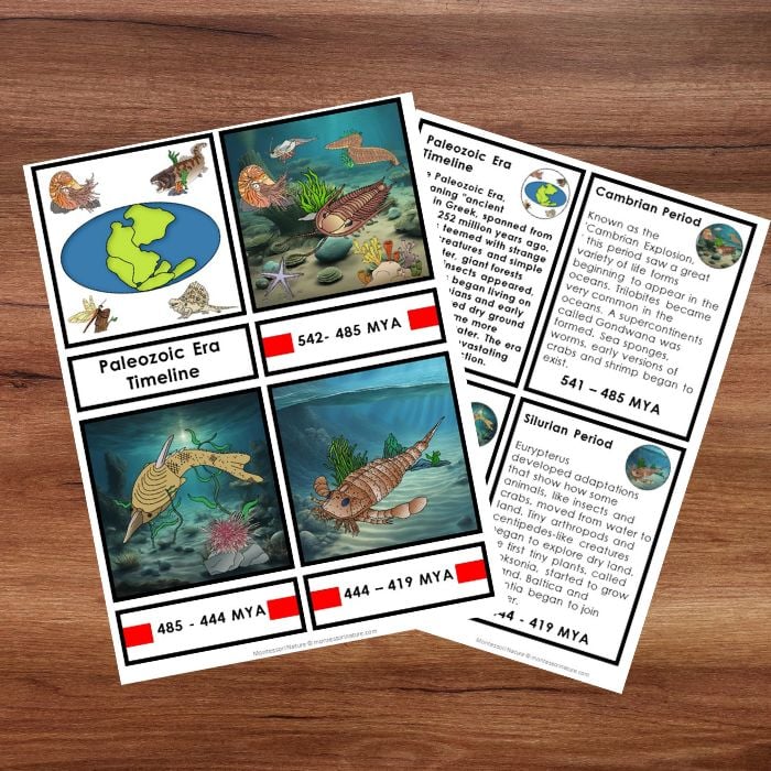Paleozoic Era Timeline Second Great Lesson 3-Part Cards Vocabulary ...