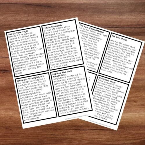 Paleozoic Era Timeline Second Great Lesson 3-Part Cards Vocabulary ...