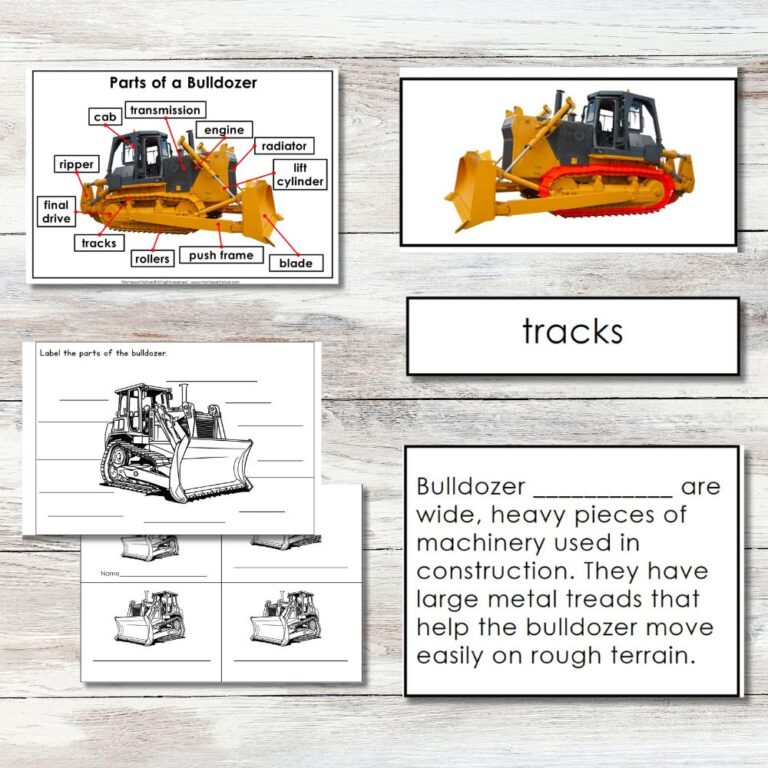 Category: 3-Part Cards - Montessori Nature