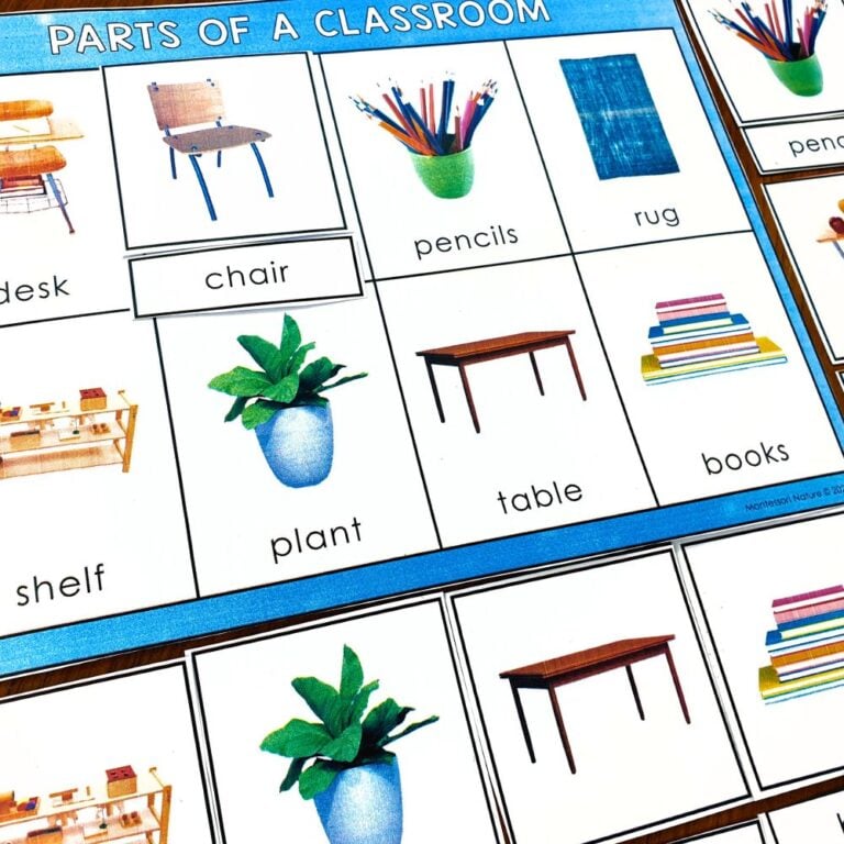 Category: 3-Part Cards - Montessori Nature