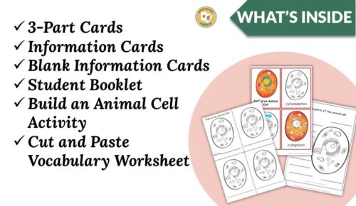 Parts of an Animal Cell 3-Part Cards Information Chart Student Book ...