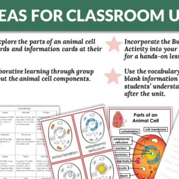 Parts of an Animal Cell 3-Part Cards Information Chart Student Book ...