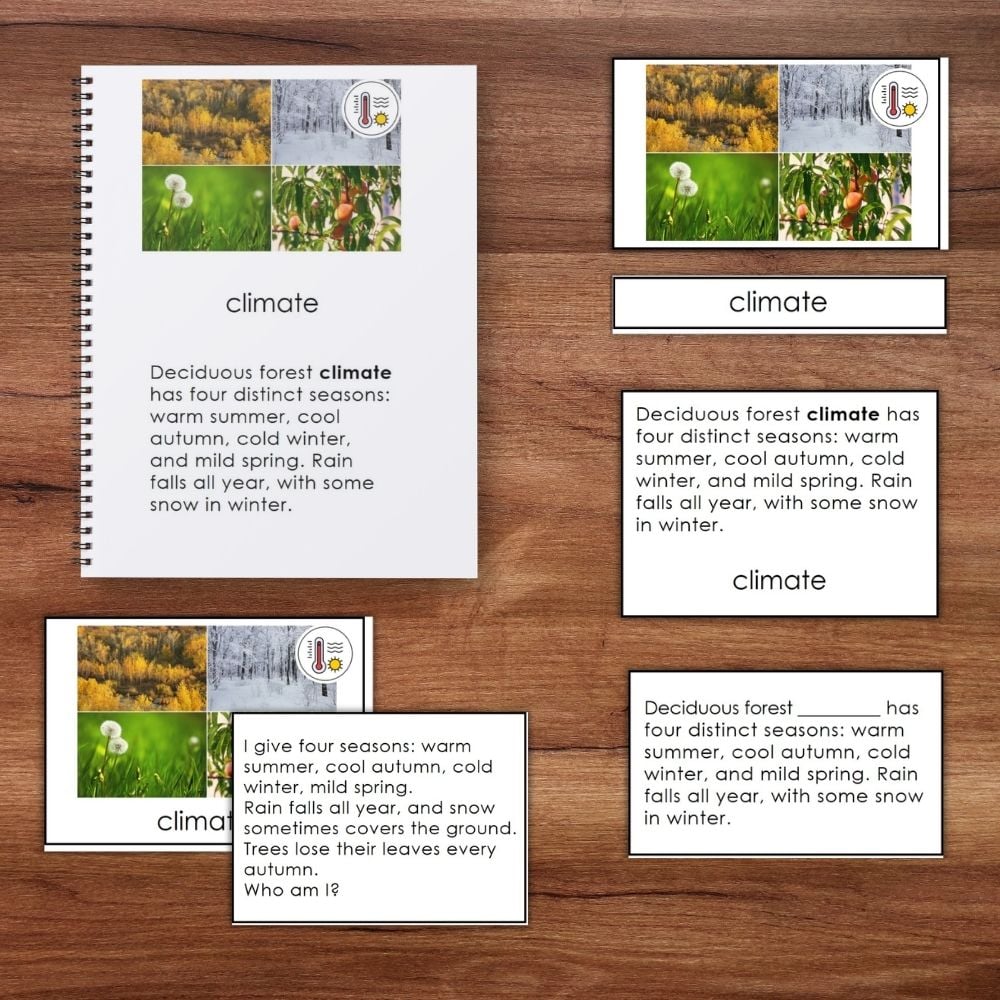 Parts of the Deciduous Forest Biome - Montessori Nature
