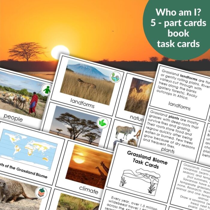 South Africa Montessori Inspired Activities - Montessori Nature
