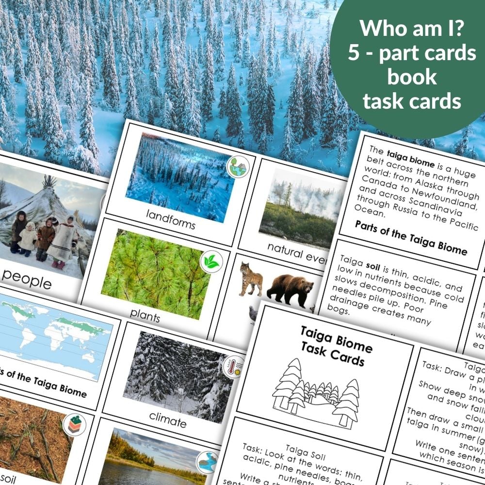 Parts of the Taiga Biome - Montessori Nature