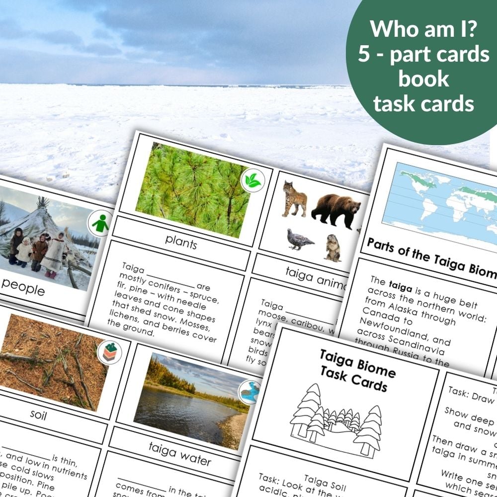 Parts of the Biomes Bundle - Montessori Nature