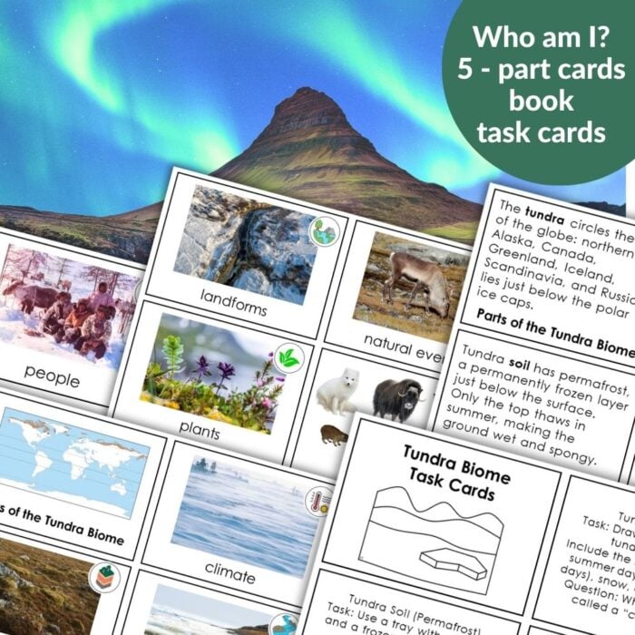 Parts of the Tundra Biome - Montessori Nature