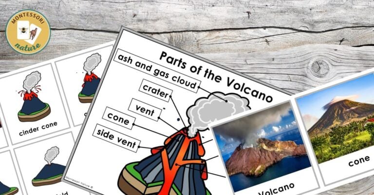 Parts of the Volcano and Stages of a Volcanic Eruption Activities ...