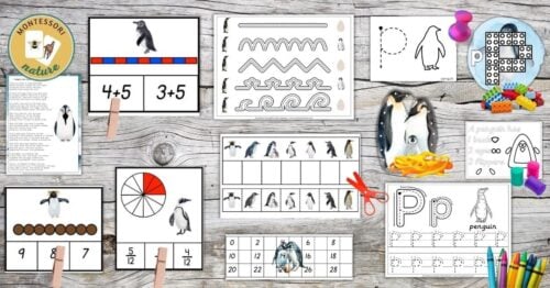 Free Printable - Penguin Early Learning Activities - Montessori Nature