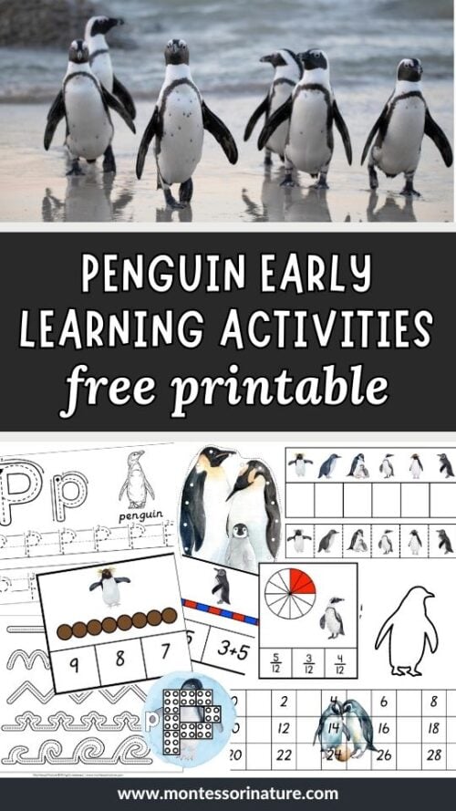 Free Printable - Penguin Early Learning Activities - Montessori Nature
