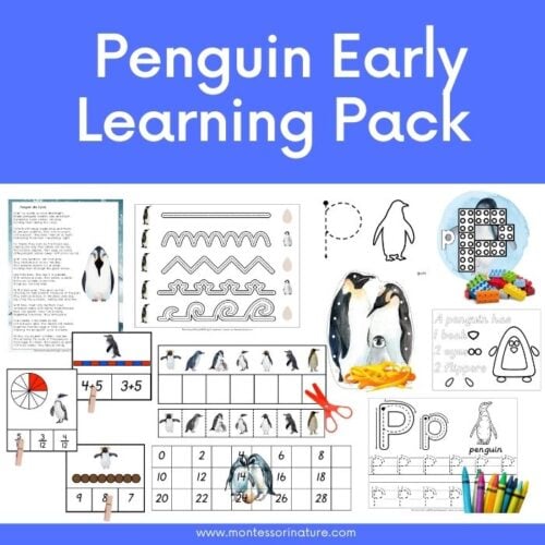 Free Printable - Penguin Early Learning Activities - Montessori Nature