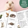 Pets: Safari TOOB Compatible 3 Part Cards & Facts