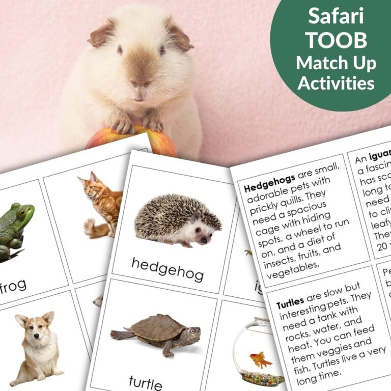 Pets: Safari TOOB Compatible 3 Part Cards & Facts