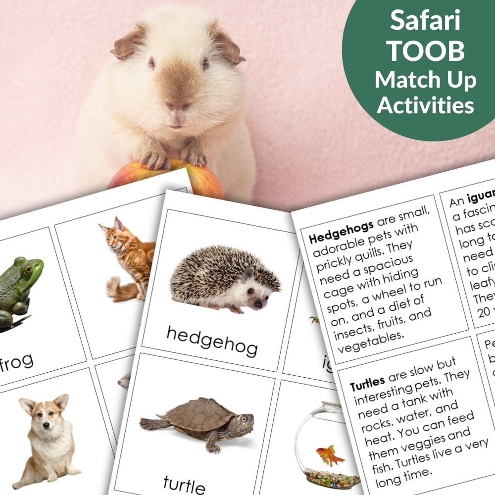Pets - Object to Picture Matching Activity with Safari Toob