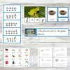 Learning to Read and Write: Phonics Bundle - Montessori Nature