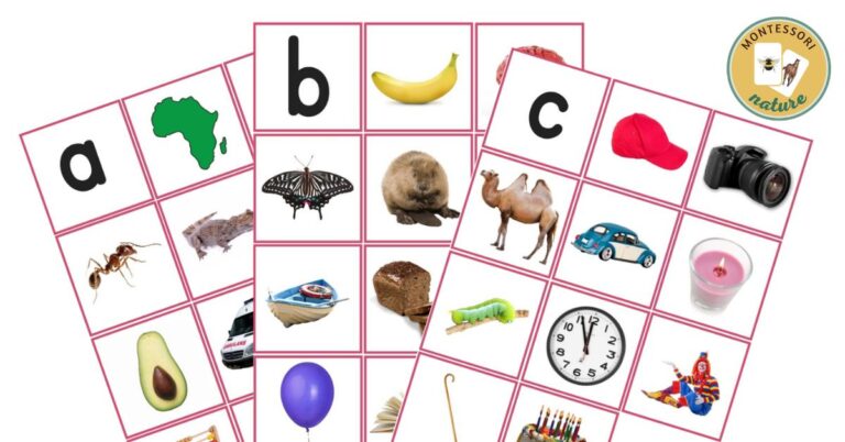 Montessori Pink Language Series - Montessori Nature
