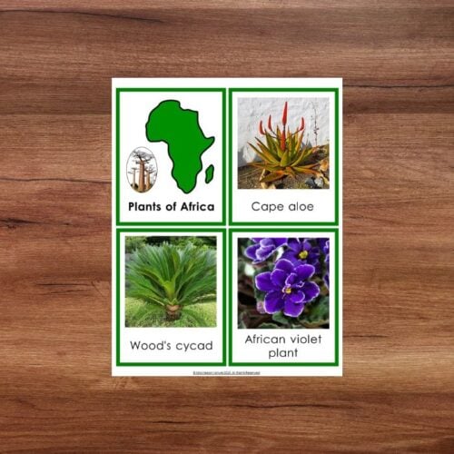Plants and Biomes of Africa - Montessori Nature