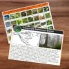 Plants and Biomes of North America Activities - Montessori Nature