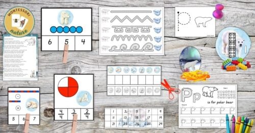 Free Printable - Polar Bear Early Learning Activities - Montessori Nature