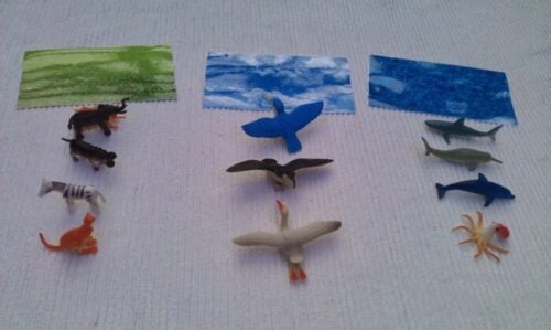 Montessori Focus Land Water Air Activity - Montessori Nature