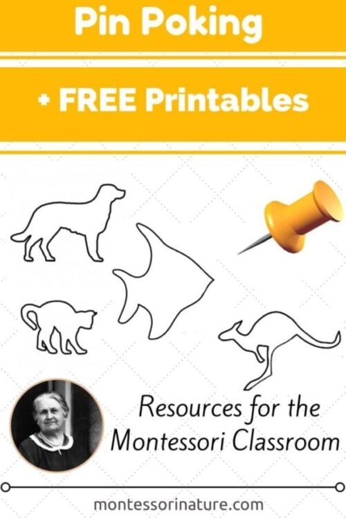 Pin Poking Activities And Free Printables - Montessori Nature