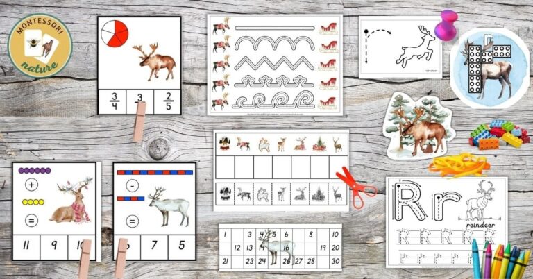 Free Printable - Reindeer Early Learning Activities - Montessori Nature