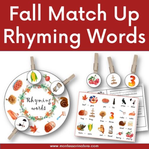 Free Printable - Fall Match Up Rhyming Words With Pegs - Montessori Nature