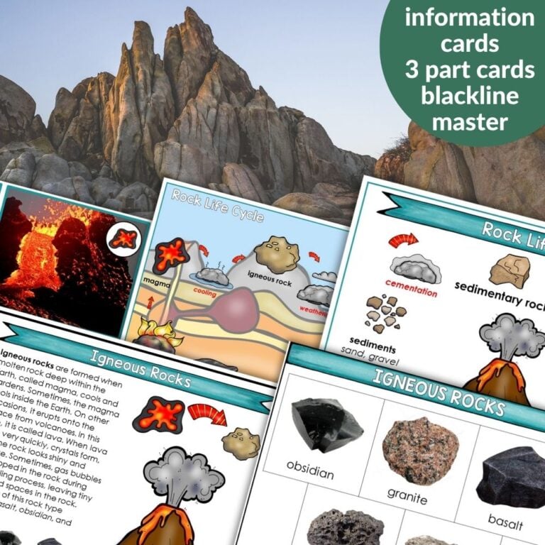 Free Printable - Living and Non-Living Things in Nature Sort ...