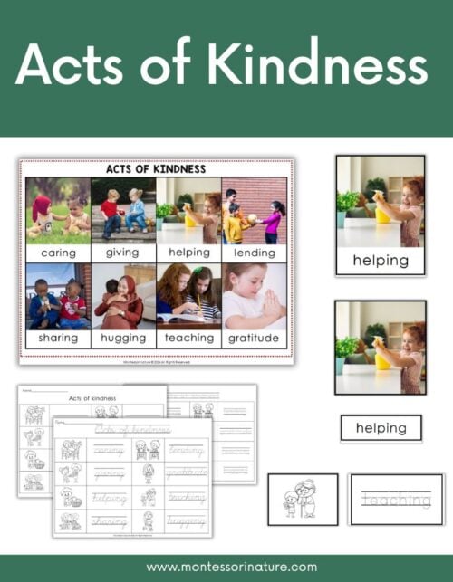 Free Printable - 10 Trees And 10 Leaves Sorting Cards - Montessori Nature