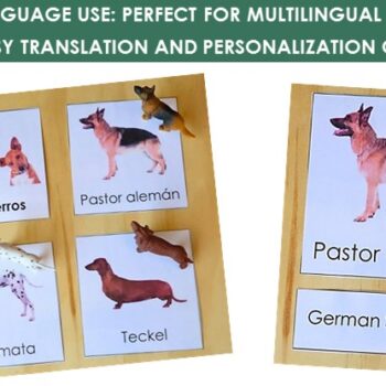 Safari TOOB and Toy-Matching 3-Part Cards | Montessori | Editable