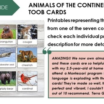 Safari TOOB and Toy-Matching 3-Part Cards | Montessori | Editable